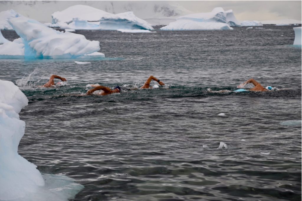 International Ice Swimming Association